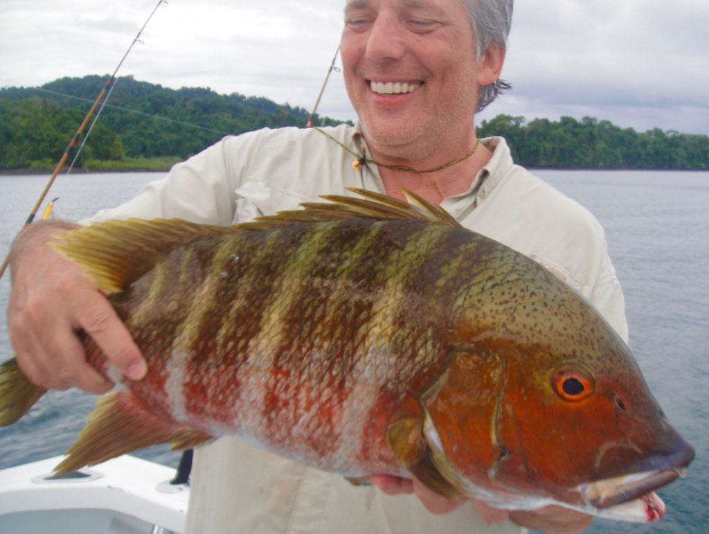 Barred Snapper - Marlin Panama - Isla Coiba, Panama