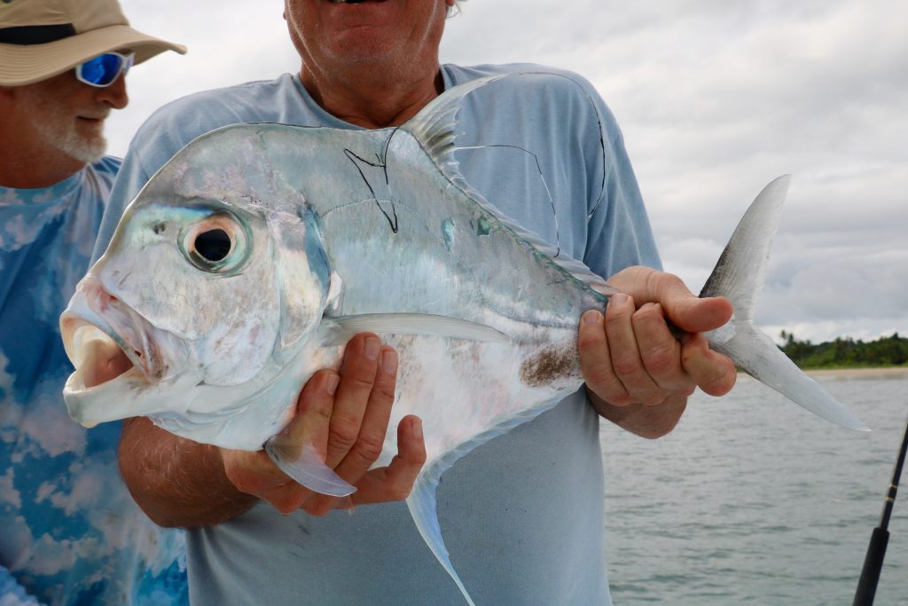 African Pompano - Marlin Panama - Isla Coiba, Panama