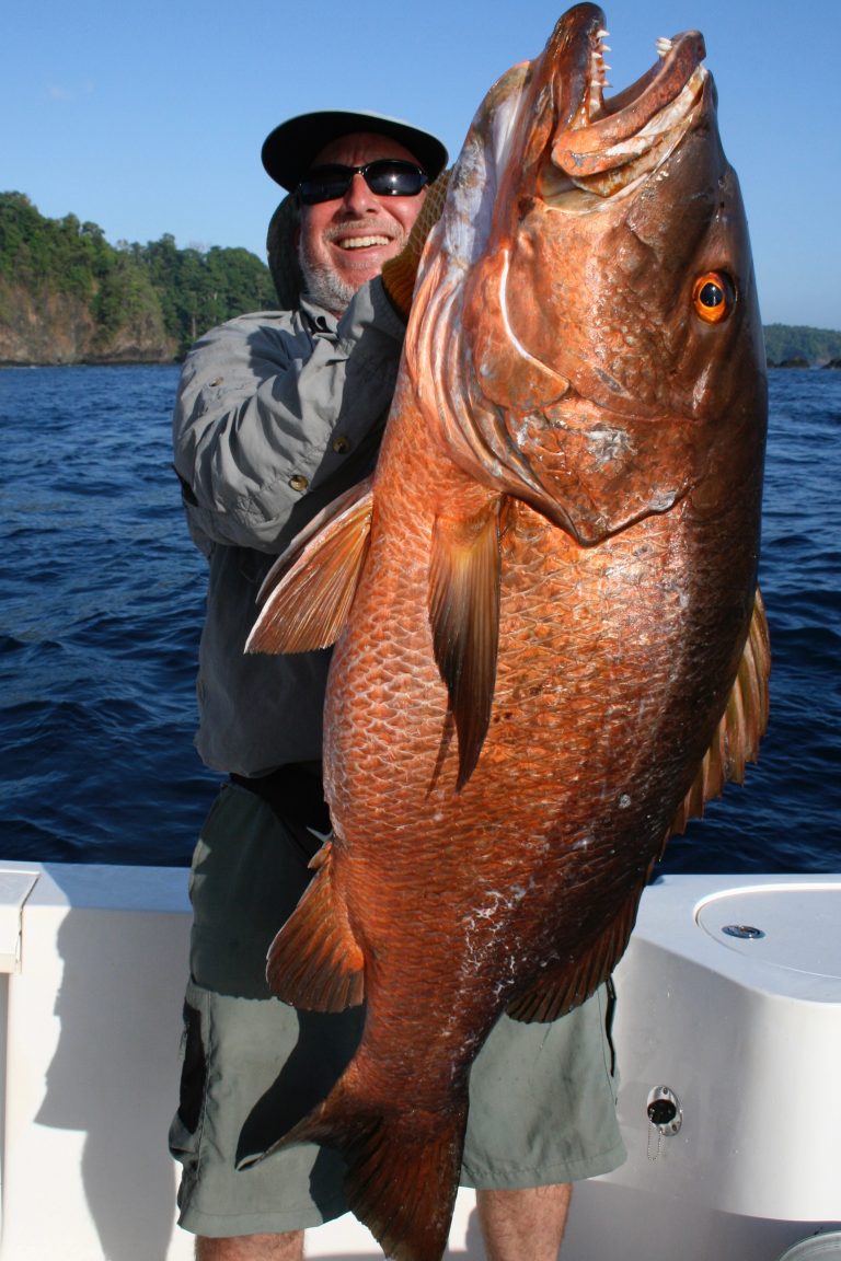 CUBERA SNAPPER • Sport Fishing Panama